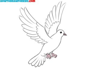 How to Draw a Dove - Easy Drawing Tutorial for Kids