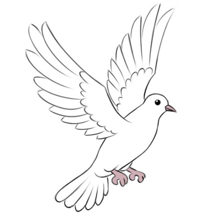 How To Draw Dove For Kids Easy Drawing Tutorial