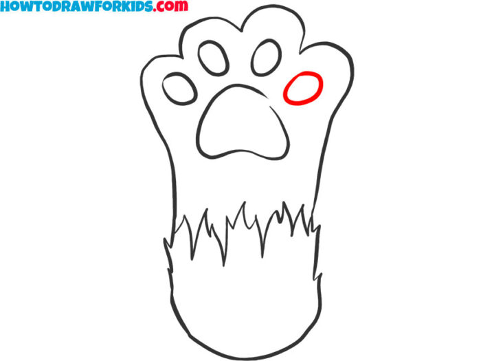 How to Draw a Cat Paw - Easy Drawing Tutorial For Kids
