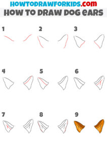 How to Draw Dog Ears - Easy Drawing Tutorial For Kids