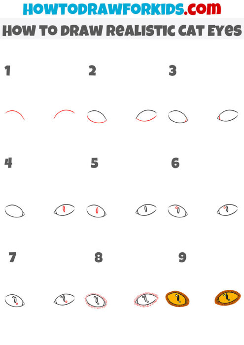 How to Draw Cat Eyes - Easy Drawing Tutorial For Kids