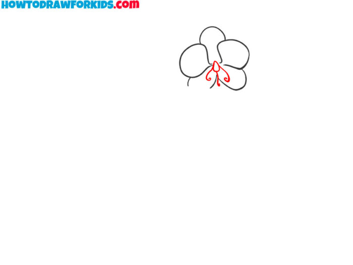 How to Draw an Orchid - Easy Drawing Tutorial For Kids