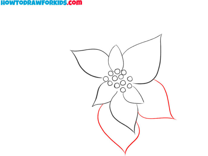 How to Draw a Poinsettia - Easy Drawing Tutorial For Kids