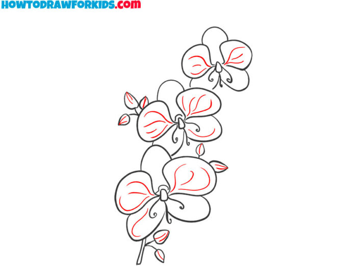 How to Draw an Orchid - Easy Drawing Tutorial For Kids