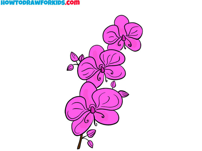 How to Draw an Orchid - Easy Drawing Tutorial For Kids