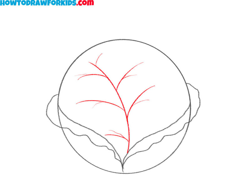 How to Draw a Cabbage - Easy Drawing Tutorial For Kids