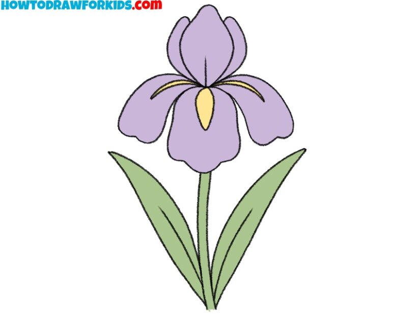 How to Draw an Iris - Easy Drawing Tutorial For Kids