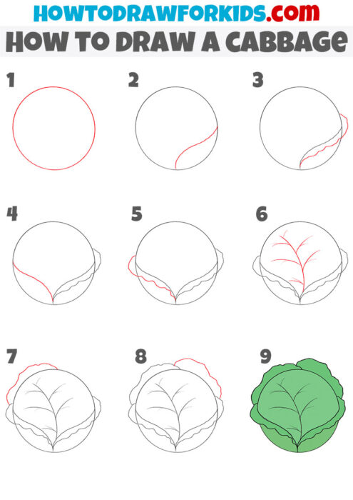 How to Draw a Cabbage - Easy Drawing Tutorial For Kids