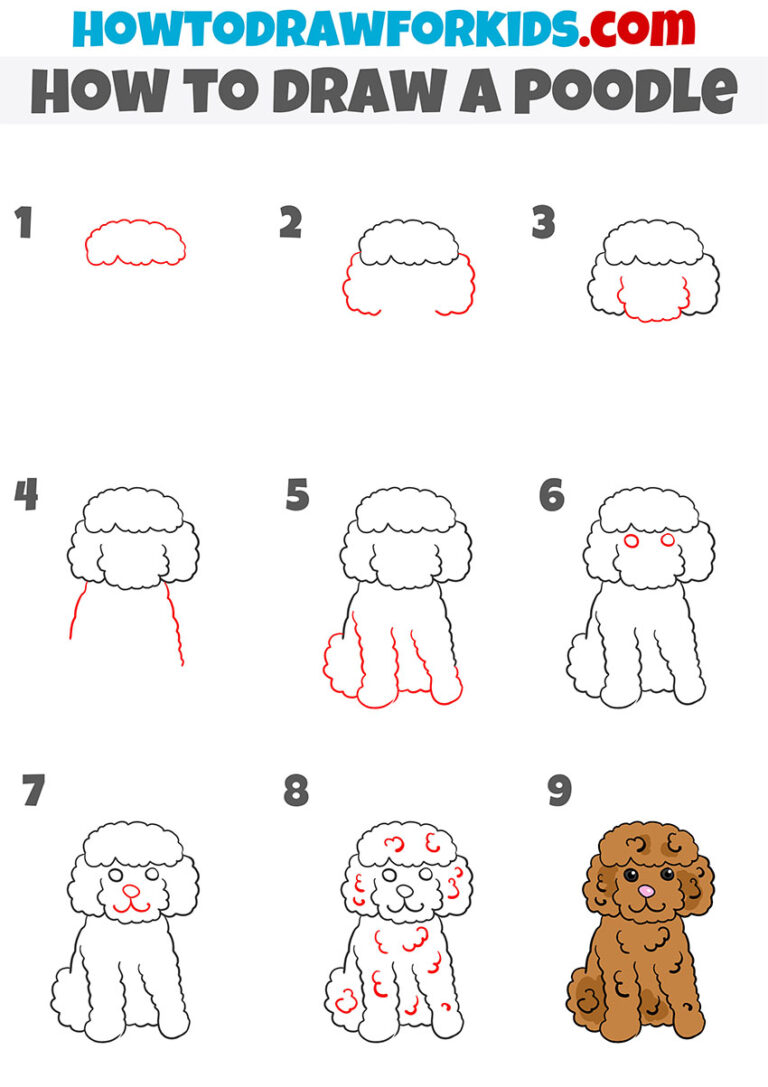 How to Draw a Poodle - Easy Drawing Tutorial For Kids
