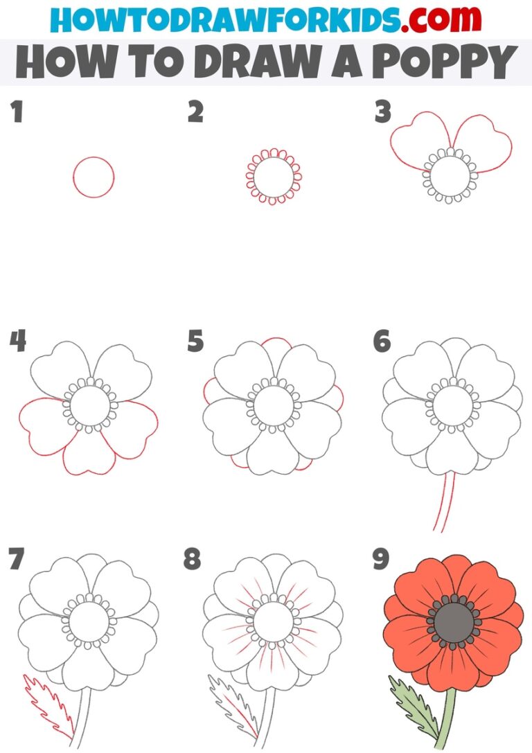 How to Draw a Poppy Flower - Easy Drawing Tutorial For Kids