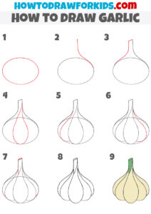 How to Draw Garlic - Easy Drawing Tutorial For Kids