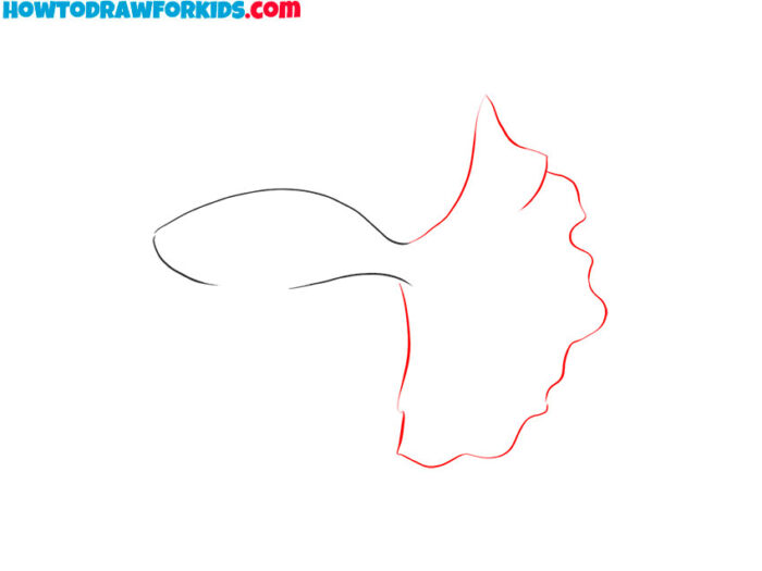 How to Draw a Betta Fish - Easy Drawing Tutorial For Kids