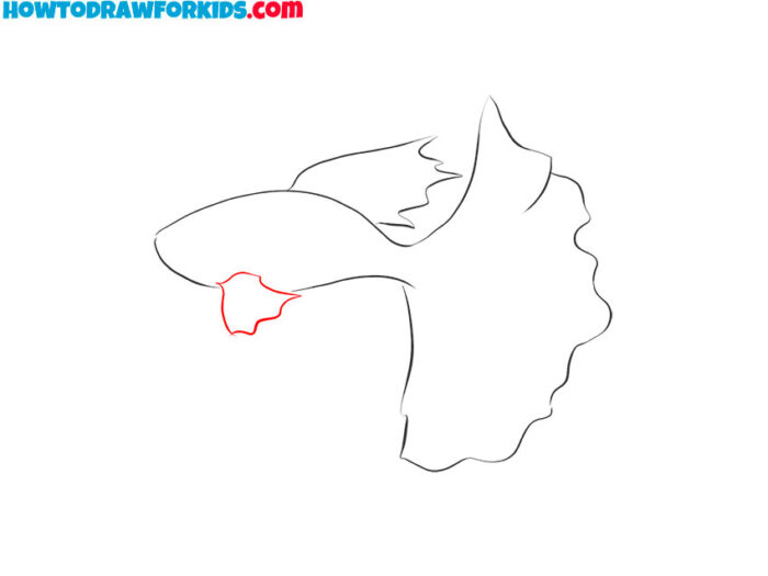 How to Draw a Betta Fish - Easy Drawing Tutorial For Kids