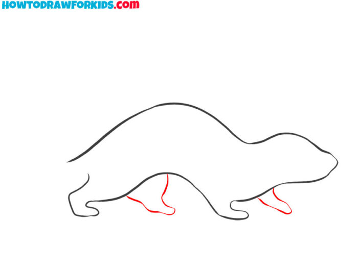 How to Draw a Ferret - Easy Drawing Tutorial For Kids