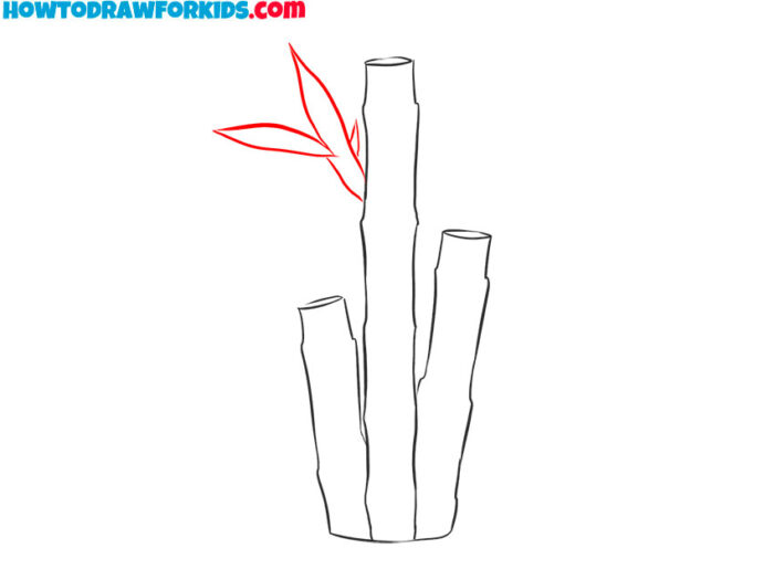 How to Draw Bamboo - Easy Drawing Tutorial For Kids