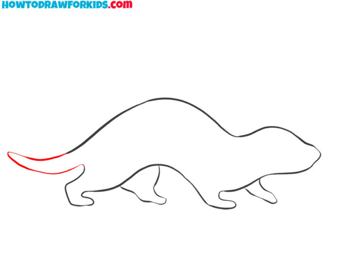 How to Draw a Ferret - Easy Drawing Tutorial For Kids