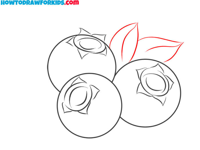 How to Draw a Blueberry - Easy Drawing Tutorial For Kids