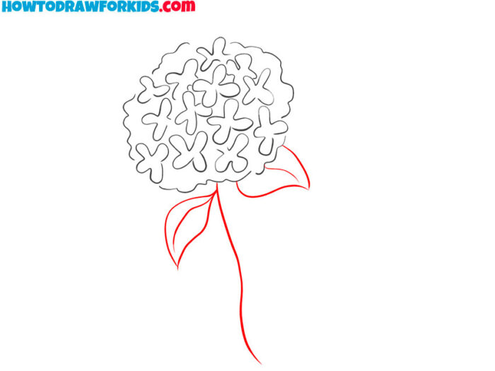How to Draw a Hydrangea - Easy Drawing Tutorial For Kids