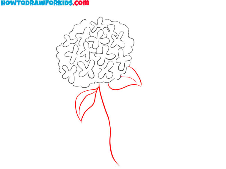 How to Draw a Hydrangea - Easy Drawing Tutorial For Kids