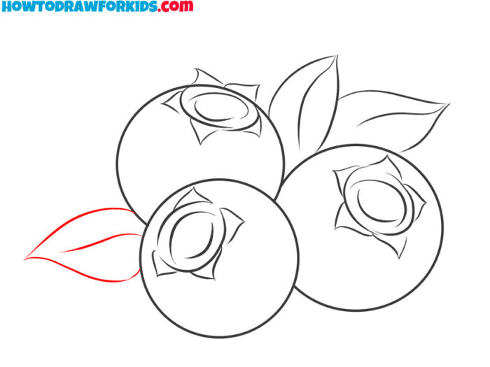 How to Draw a Blueberry - Easy Drawing Tutorial For Kids