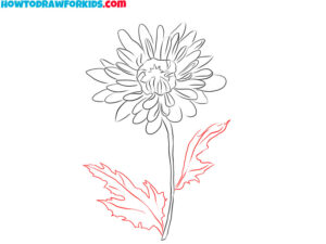 How to Draw a Chrysanthemum - Easy Drawing Tutorial For Kids