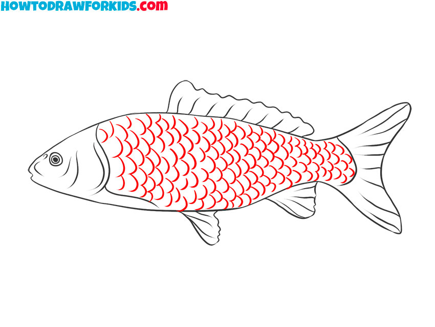 How To Draw A Real Fish Step By Step