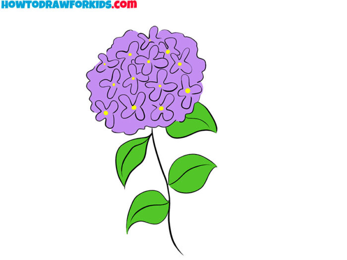 How to Draw a Hydrangea - Easy Drawing Tutorial For Kids