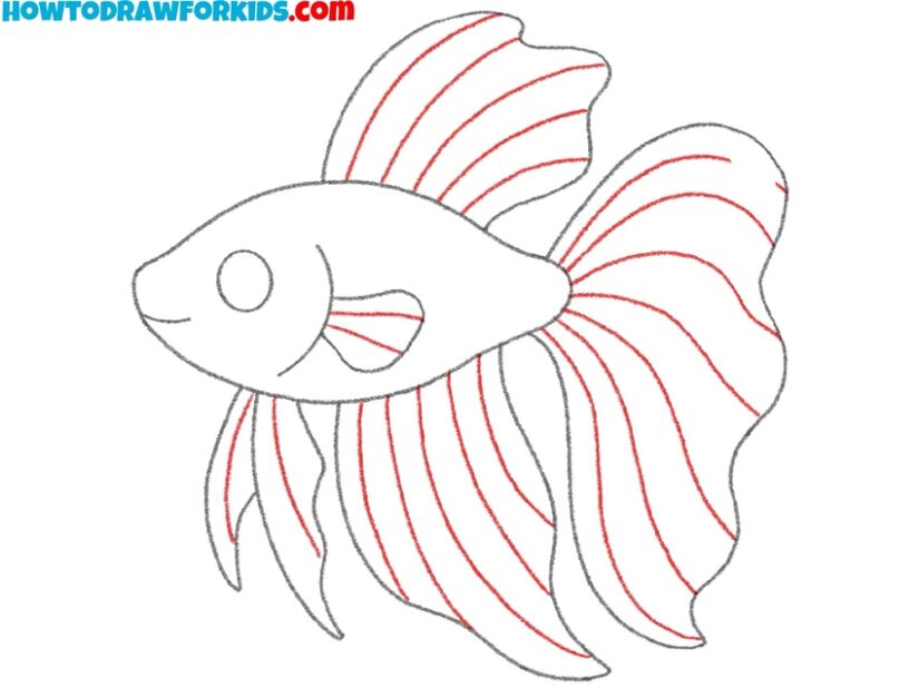 How to Draw a Betta Fish - Easy Drawing Tutorial For Kids