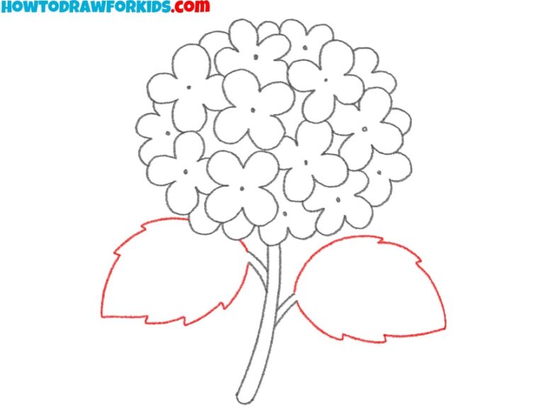 How to Draw a Hydrangea - Easy Drawing Tutorial For Kids