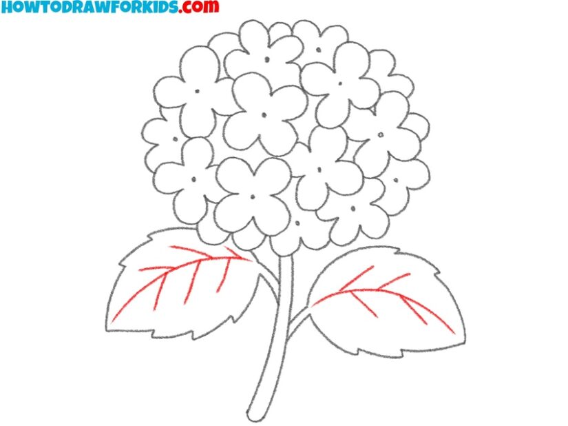 How to Draw a Hydrangea - Easy Drawing Tutorial For Kids