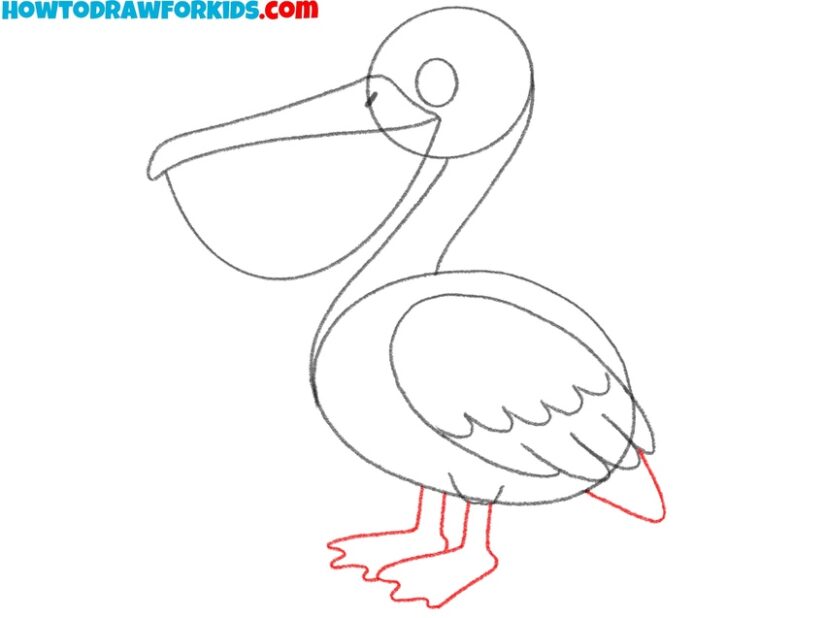 How to Draw a Pelican - Easy Drawing Tutorial For Kids