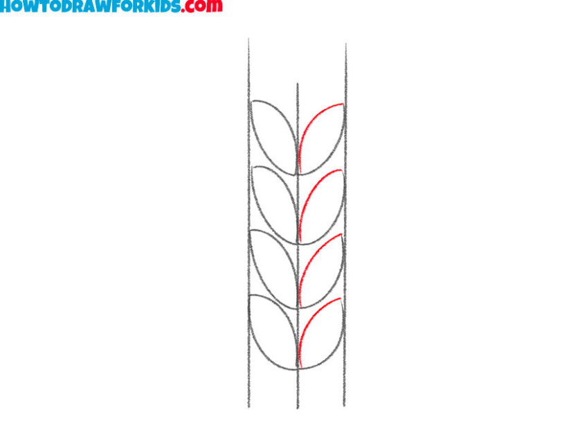 How to Draw Wheat - Easy Drawing Tutorial For Kids