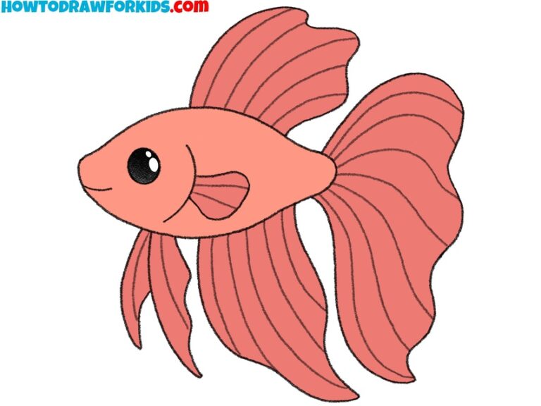 How to Draw a Betta Fish - Easy Drawing Tutorial For Kids