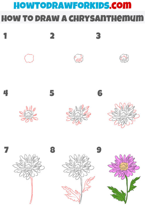 How to Draw a Chrysanthemum - Easy Drawing Tutorial For Kids
