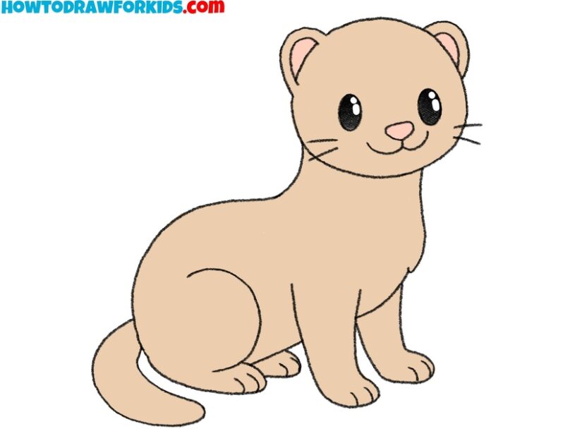 How to Draw a Ferret - Easy Drawing Tutorial For Kids