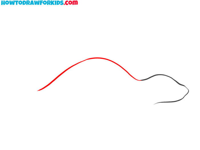 How to Draw a Ferret - Easy Drawing Tutorial For Kids