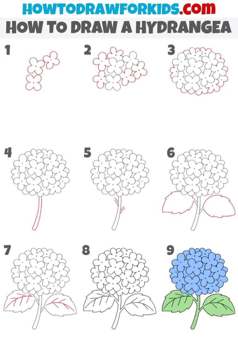 How to Draw a Hydrangea - Easy Drawing Tutorial For Kids