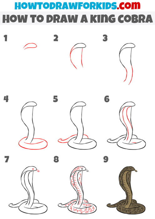 How to Draw a King Cobra - Easy Drawing Tutorial For Kids