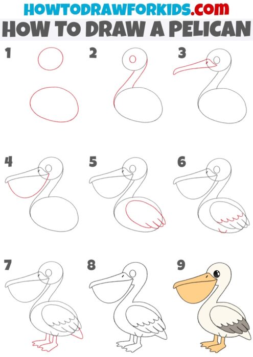 How to Draw a Pelican - Easy Drawing Tutorial For Kids
