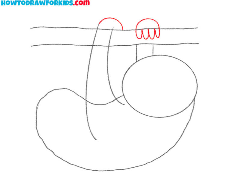 How to Draw a Sloth - Easy Drawing Tutorial For Kids