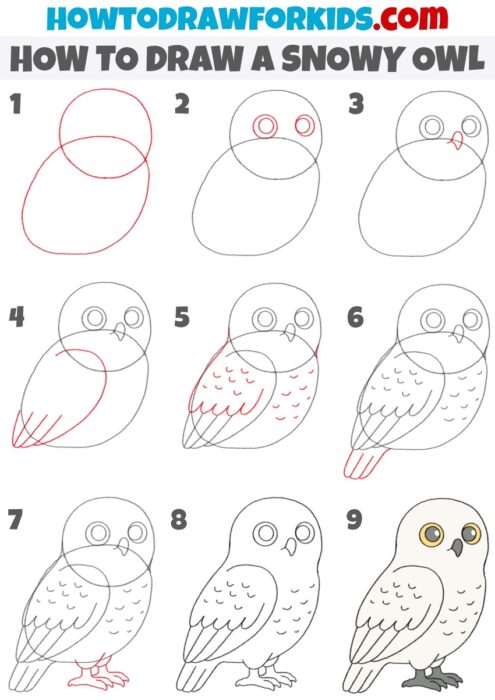 How to Draw a Snowy Owl - Easy Drawing Tutorial For Kids