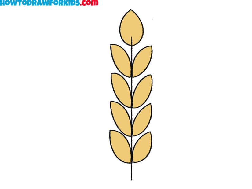 How to Draw Wheat - Easy Drawing Tutorial For Kids