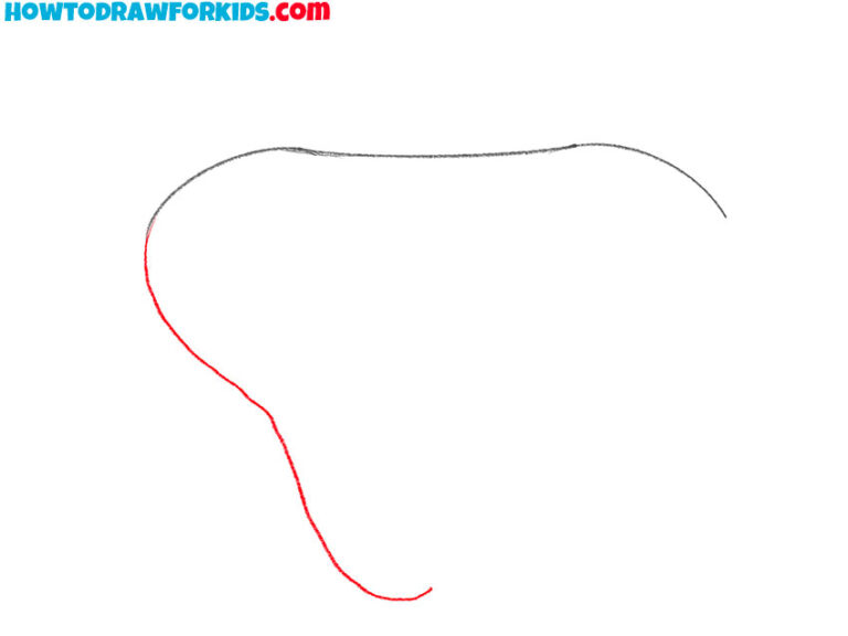 How to Draw a Cat Nose Step by Step - Easy Drawing Tutorial For Kids