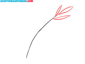 How to Draw a Fern - Easy Drawing Tutorial For Kids