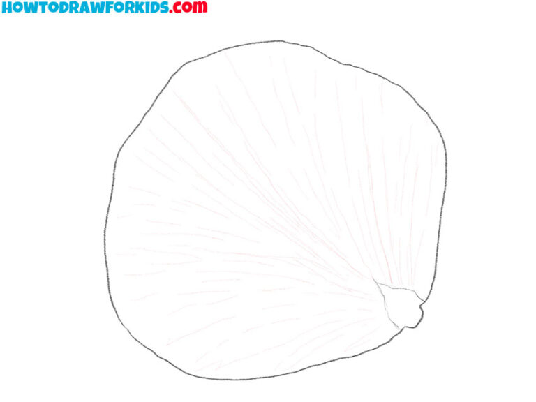 How to Draw a Rose Petal - Easy Drawing Tutorial For Kids