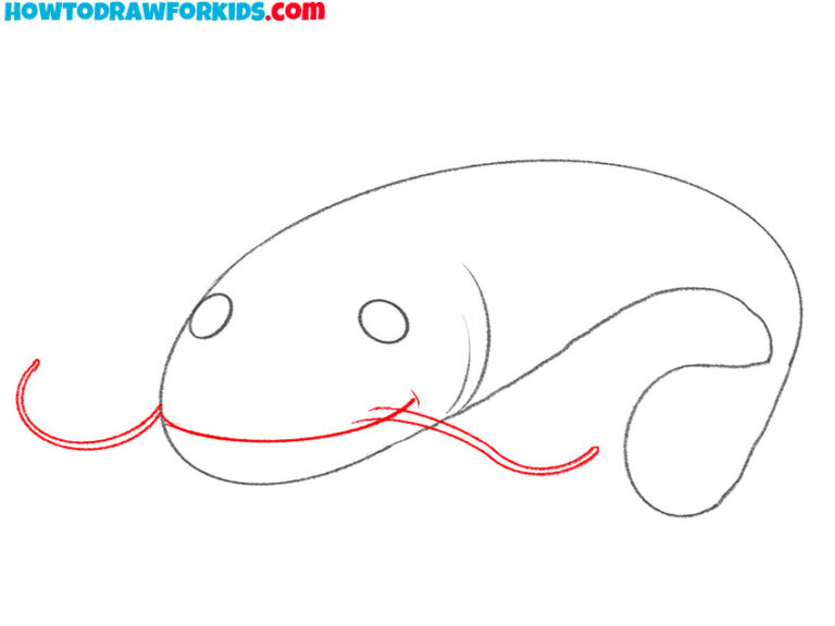 How to Draw a Catfish - Easy Drawing Tutorial For Kids