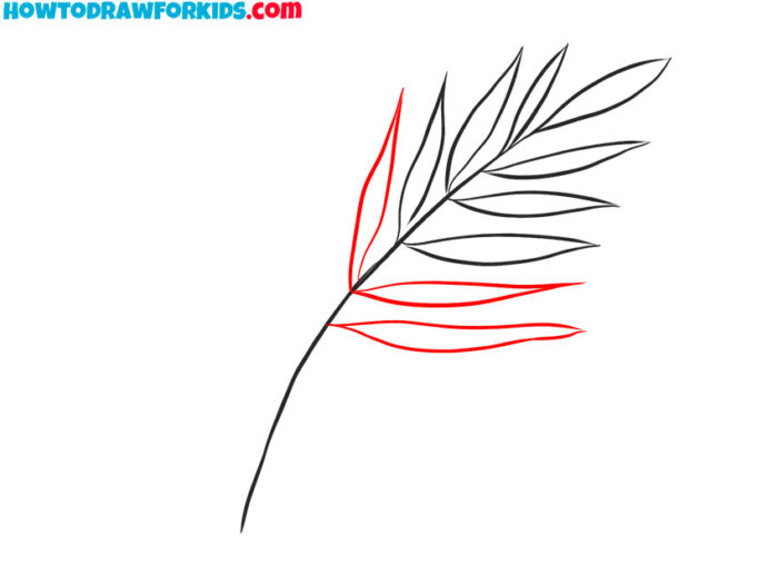 How to Draw a Fern - Easy Drawing Tutorial For Kids