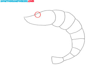 How to Draw a Shrimp - Easy Drawing Tutorial For Kids