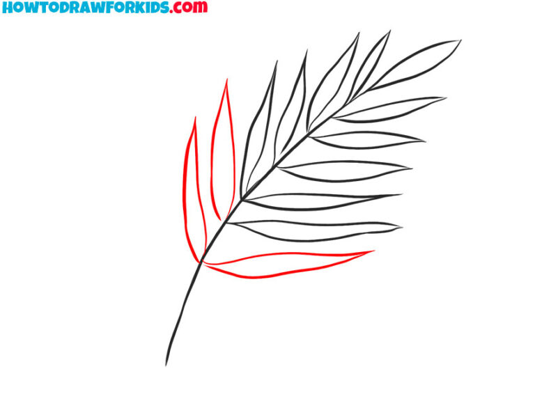 How to Draw a Fern - Easy Drawing Tutorial For Kids