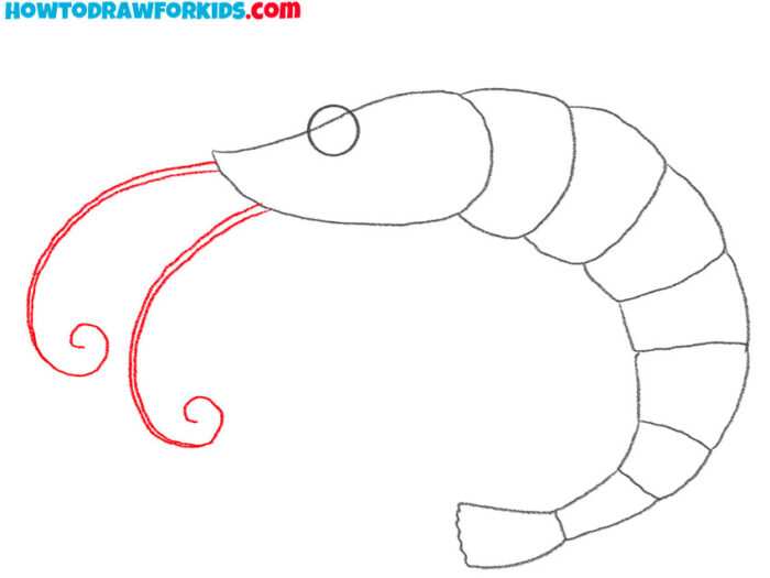How to Draw a Shrimp - Easy Drawing Tutorial For Kids
